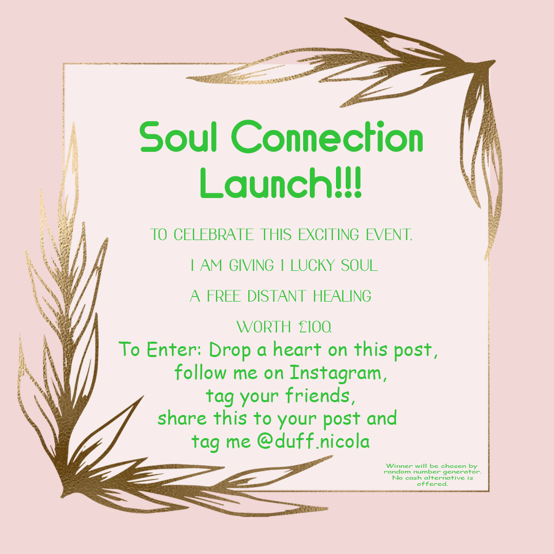 Soul Connection Launch!! - Soul Connection